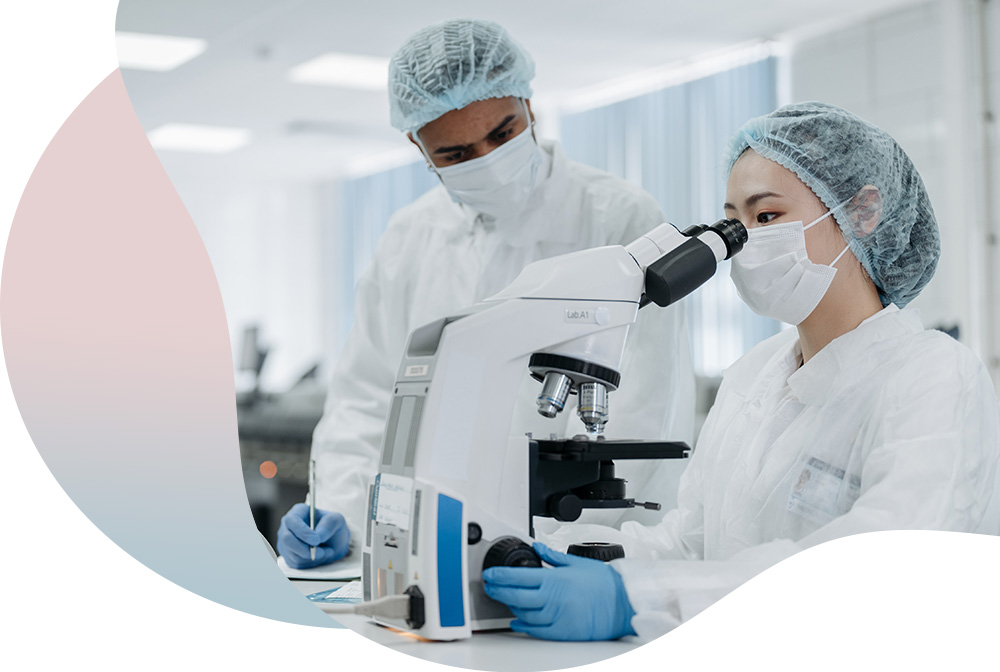 Careers – BMS Dynamics – Custom Software Solutions